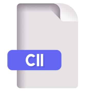 Quels sont les formats de la facture électronique